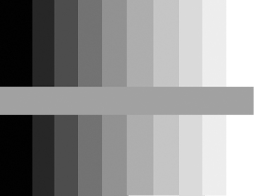 Drawing and Painting SIS: COLOR THEORY BASICS