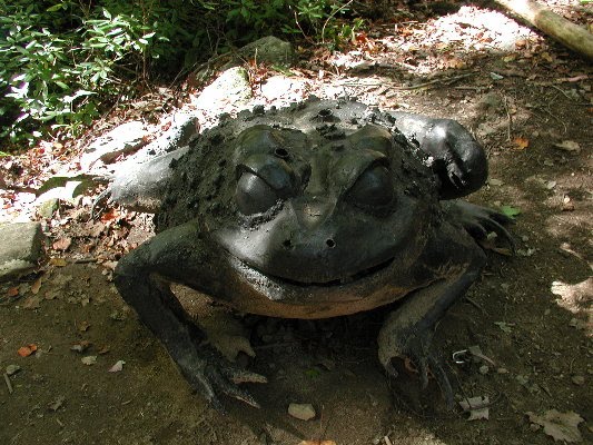 The Bumbles Blog: ON PHOTOS ~ Biggest Toad Ever...