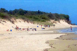 TRACKS, TRAILS AND COASTS NEAR MELBOURNE : Poit Leo to Shoreham ...