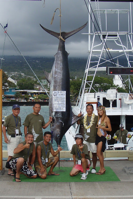 Diving the Kona Coast: Hawaiian International Billfish Tournament
