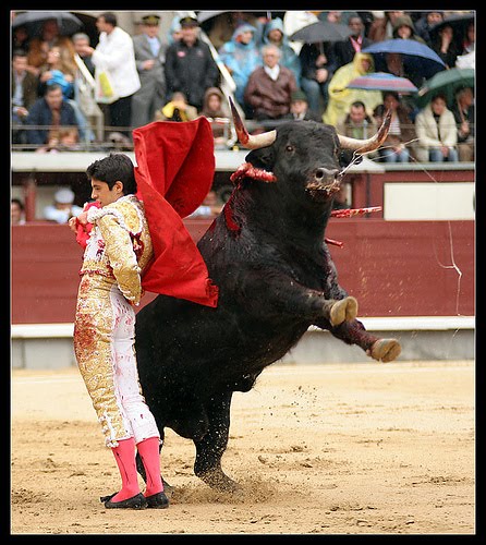 EL TOREO ESPAÑOL: TALAVANTE