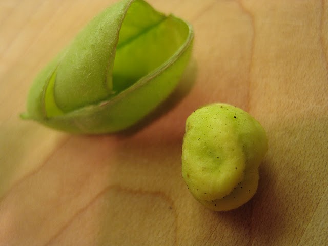 Roasted Fresh Garbanzo Beans