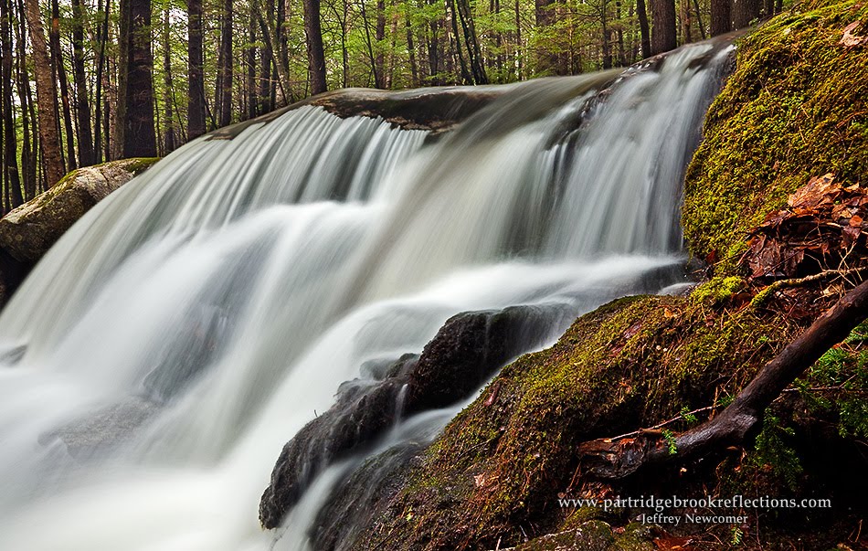 Getting it Right in the Digital Camera : Forty Foot Falls & Below