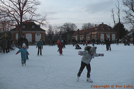 41st Ward Citizen's Blog: An Ice Skating Rink in the 41st Ward