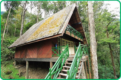 BEAUTIFUL PLACES ON EARTH: Mesilau Nature Park - Discovery Of Flora & Fauna