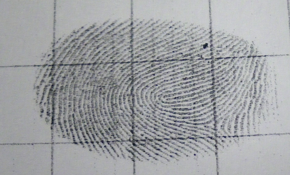 Club sciences du collège de La Pacaudière: novembre 2010