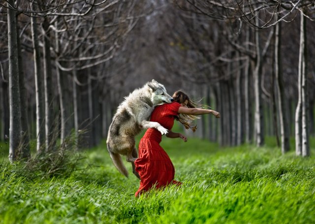 White Wolf Women Who Run With The Wolves Video