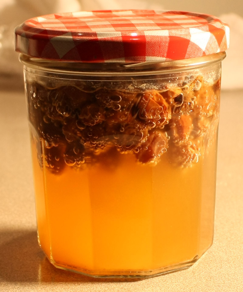 Fanatic Cook: January 2011