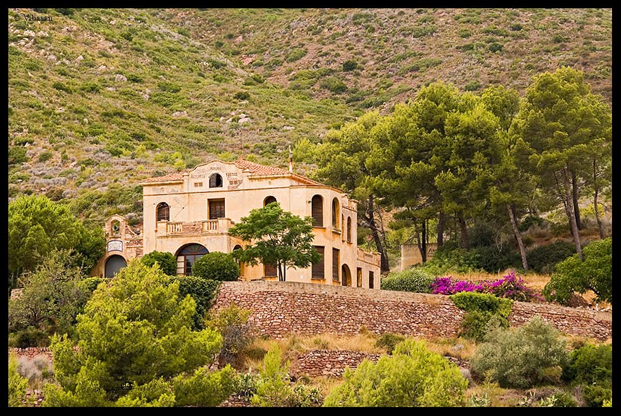 parfumulgiuliei: Altadata am sa aleg imagini fara ... copaci si frunze