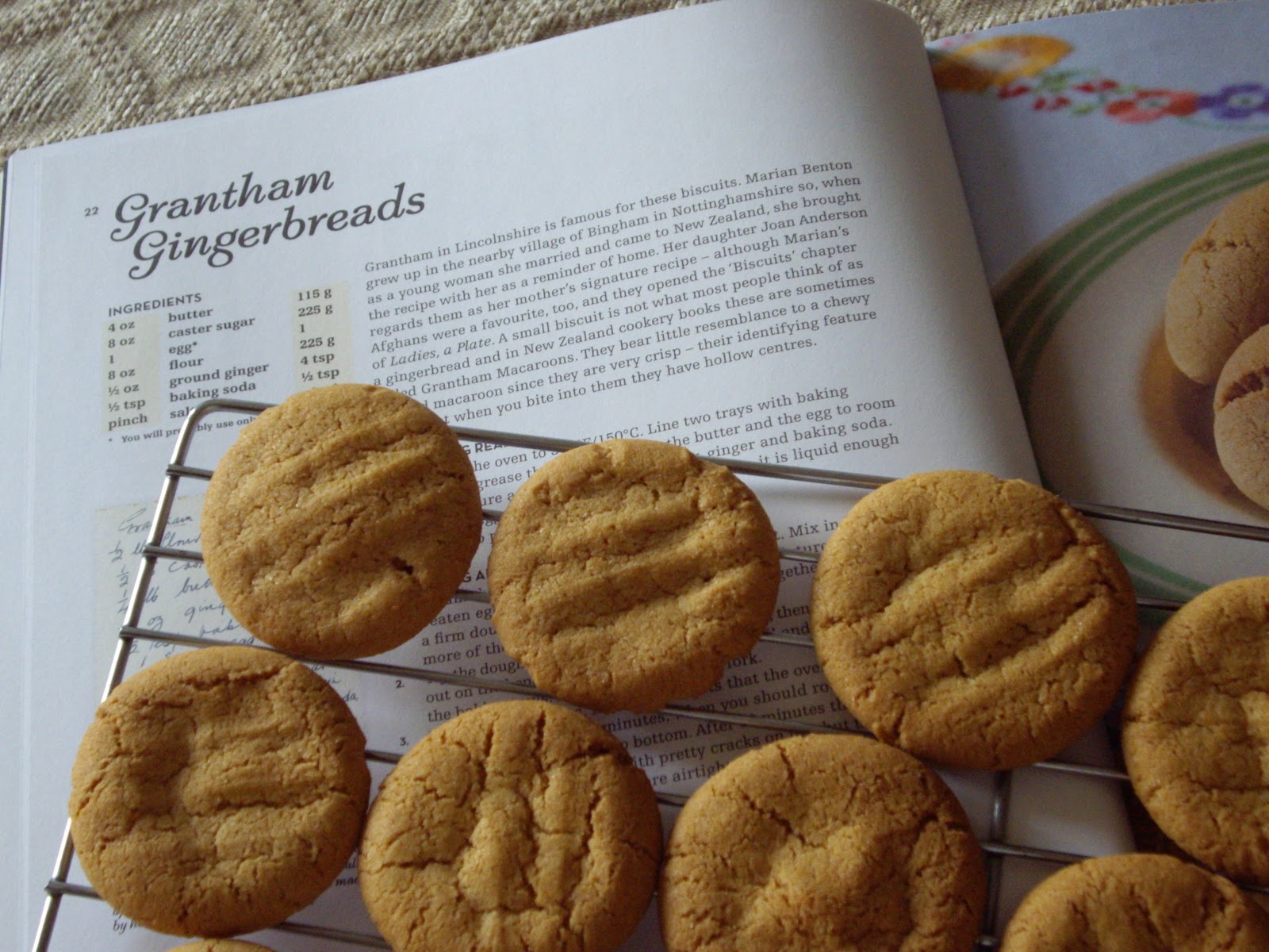 MY BLOG: Progress Report HCS 4