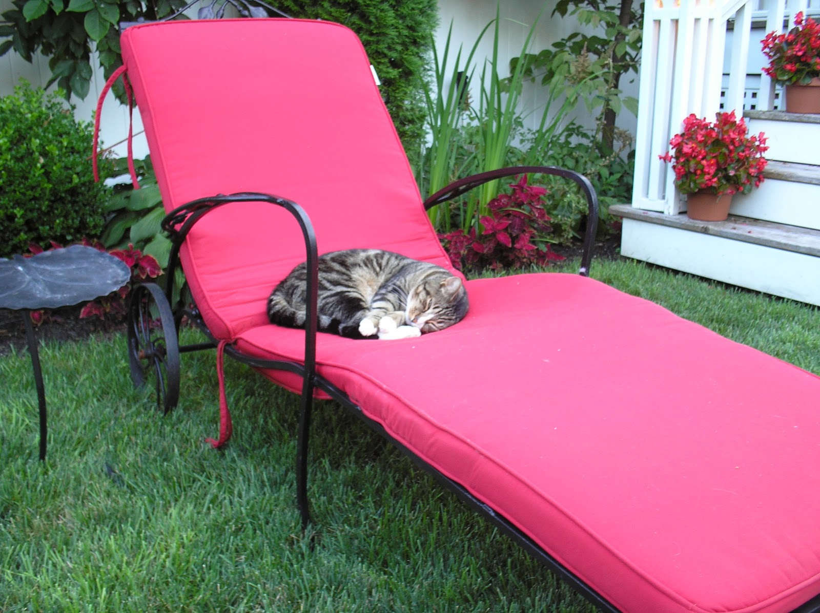 The Style & Design of : DEAN YODER