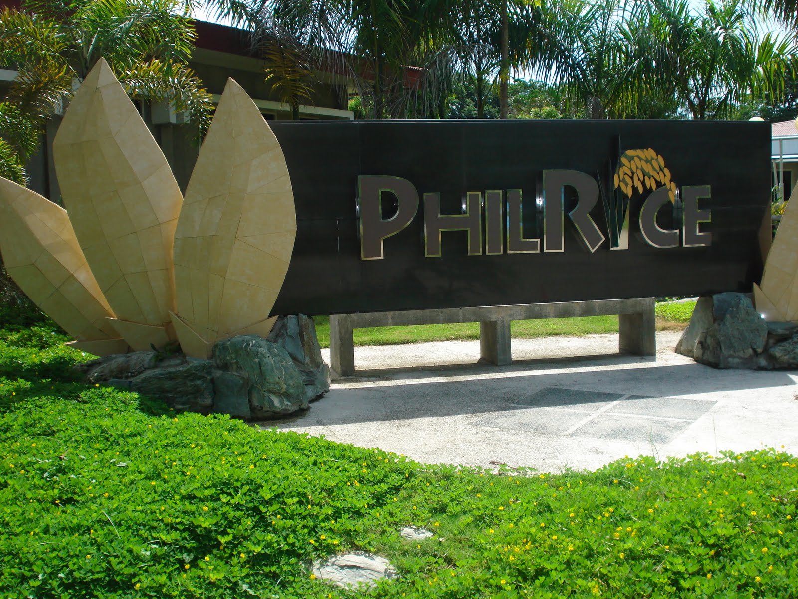 FROM THE GRAPEVINES: July 2010