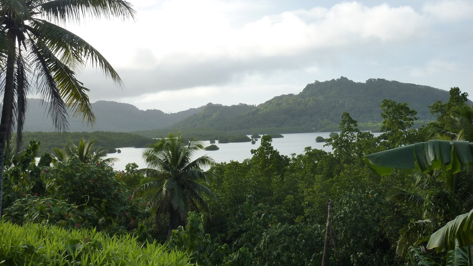 Adventures of Z & N!: Pohnpei