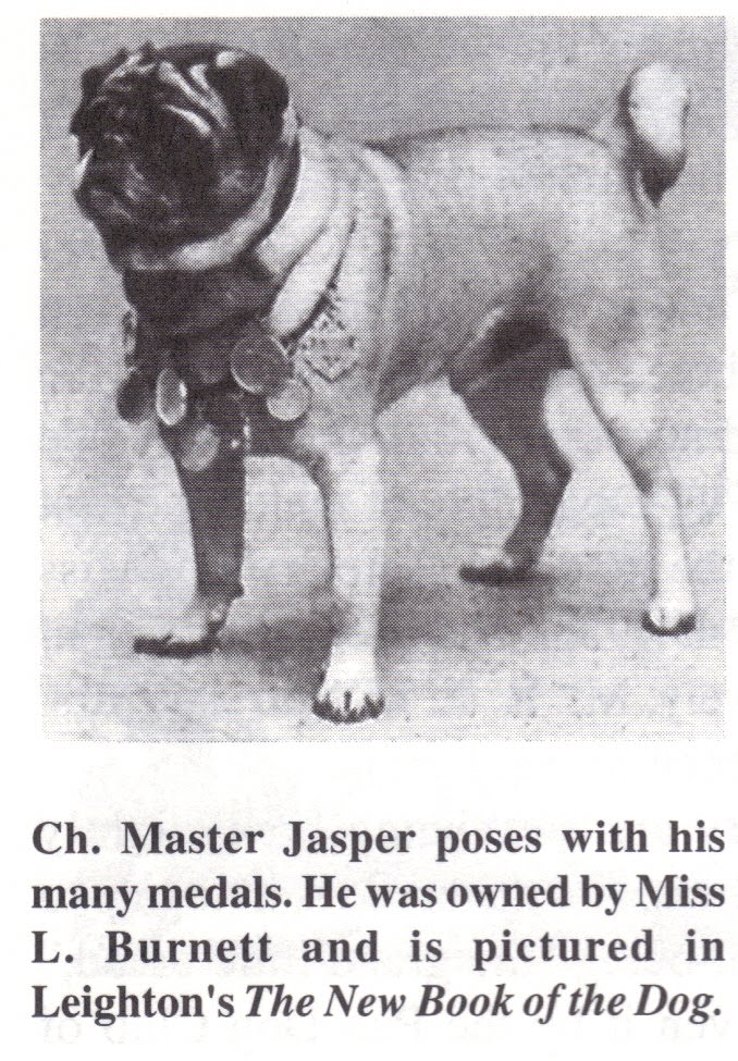 K-9 Solutions Dog Training, Inc.: Pug history in photos ~ Part 2