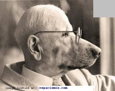 NARRACIONES Y CUENTOS BREVES: EL PERRO HUMANO