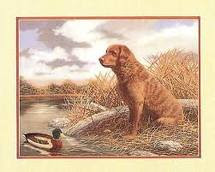 I AM DAVID by Anne Holm