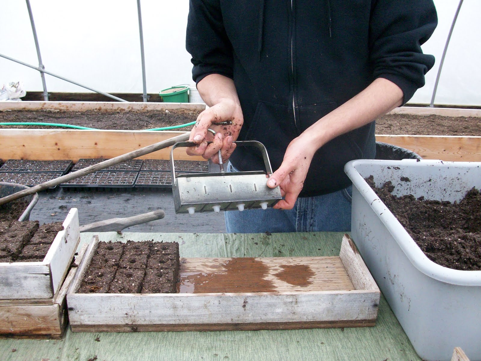 White House Gardens CSA