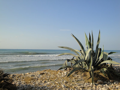 Sendallarga: PLATJA TORRENOSTRA (TORREBLANCA) - PLATJA DE LA ROMANA ...