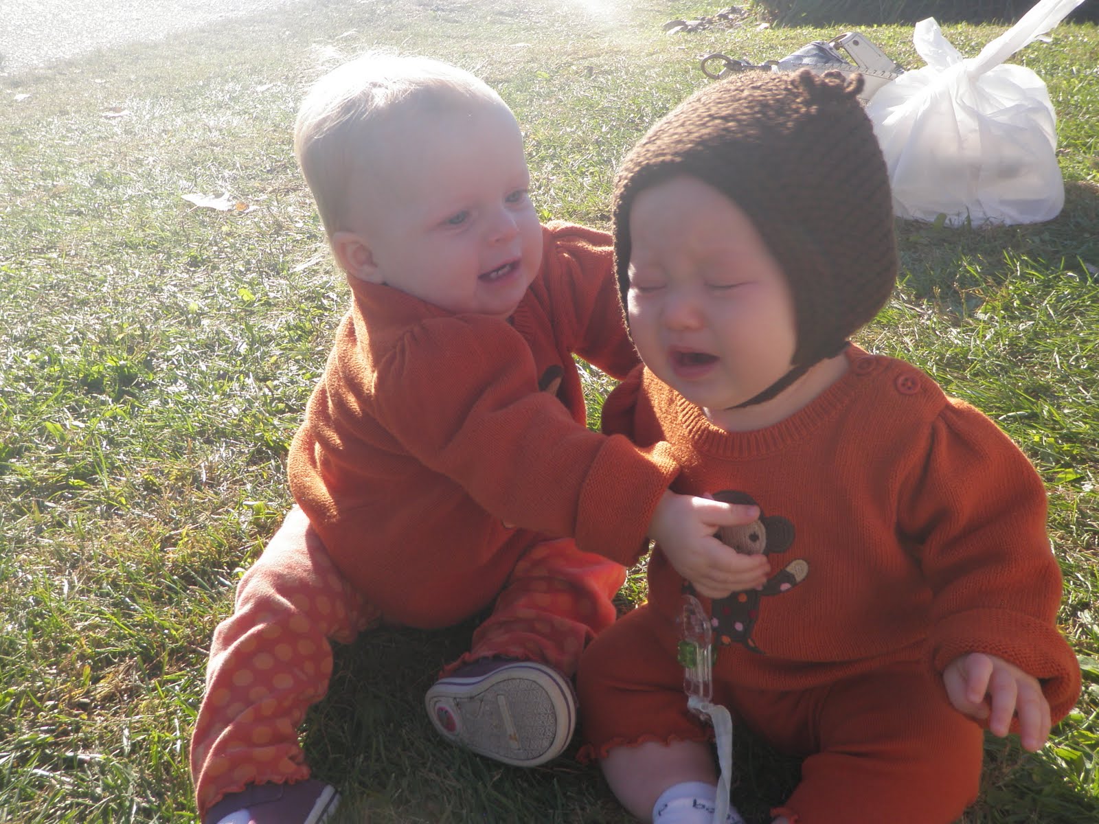 My 3 Munchkins: Pine Tree Apple Orchard