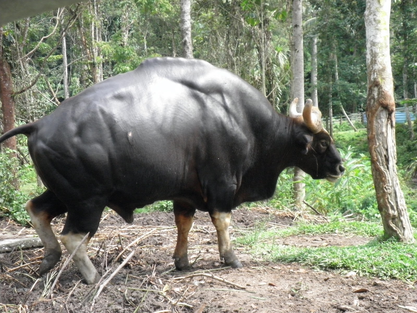 Chee Keong: Interest Places of Sungkai