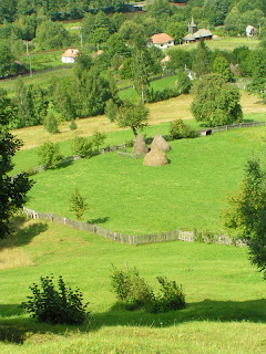 SALVATI VALEA MURESULUI: Proiect ecologizare si protectie Valea Muresului