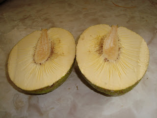 Samoan Cooking: Fa'alifu Ulu... Cooked Breadfruit in Coconut Milk :)