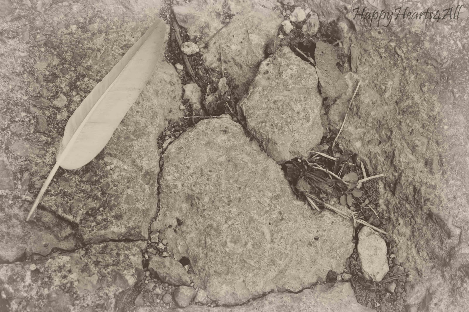 Happy Hearts 4 All Photography: Alphabet Soup-Letter F