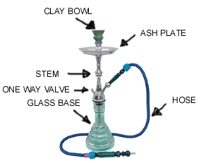 Health: Sheesha/Shisha Smoking - Harmful Effects on Health