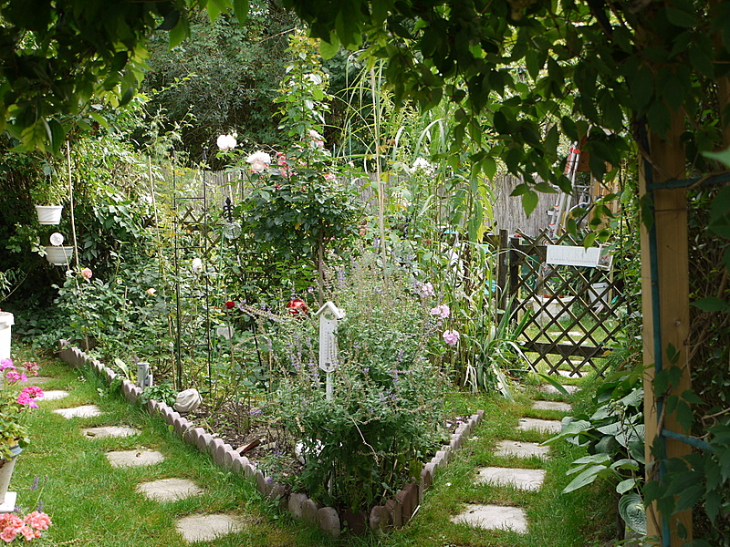 Lunas Garten-Rosen-Vielfalt : Das Rosenbeet