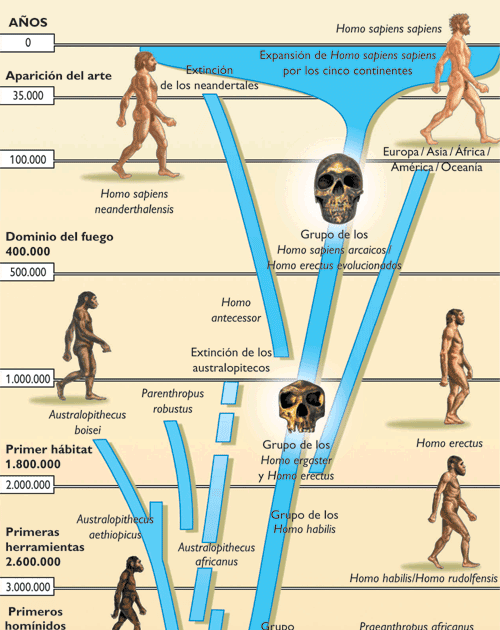 Árbol Genealógico de la Especie Humana