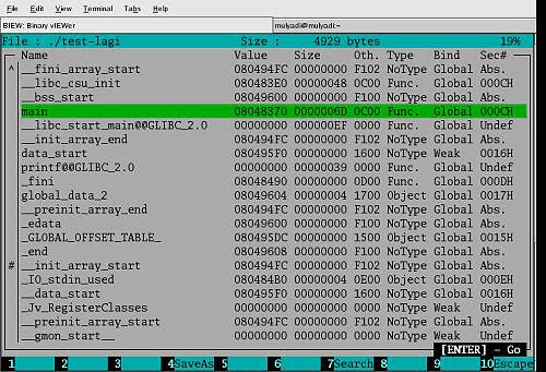 Simple life, Complicated mind: Understanding ELF using readelf and objdump