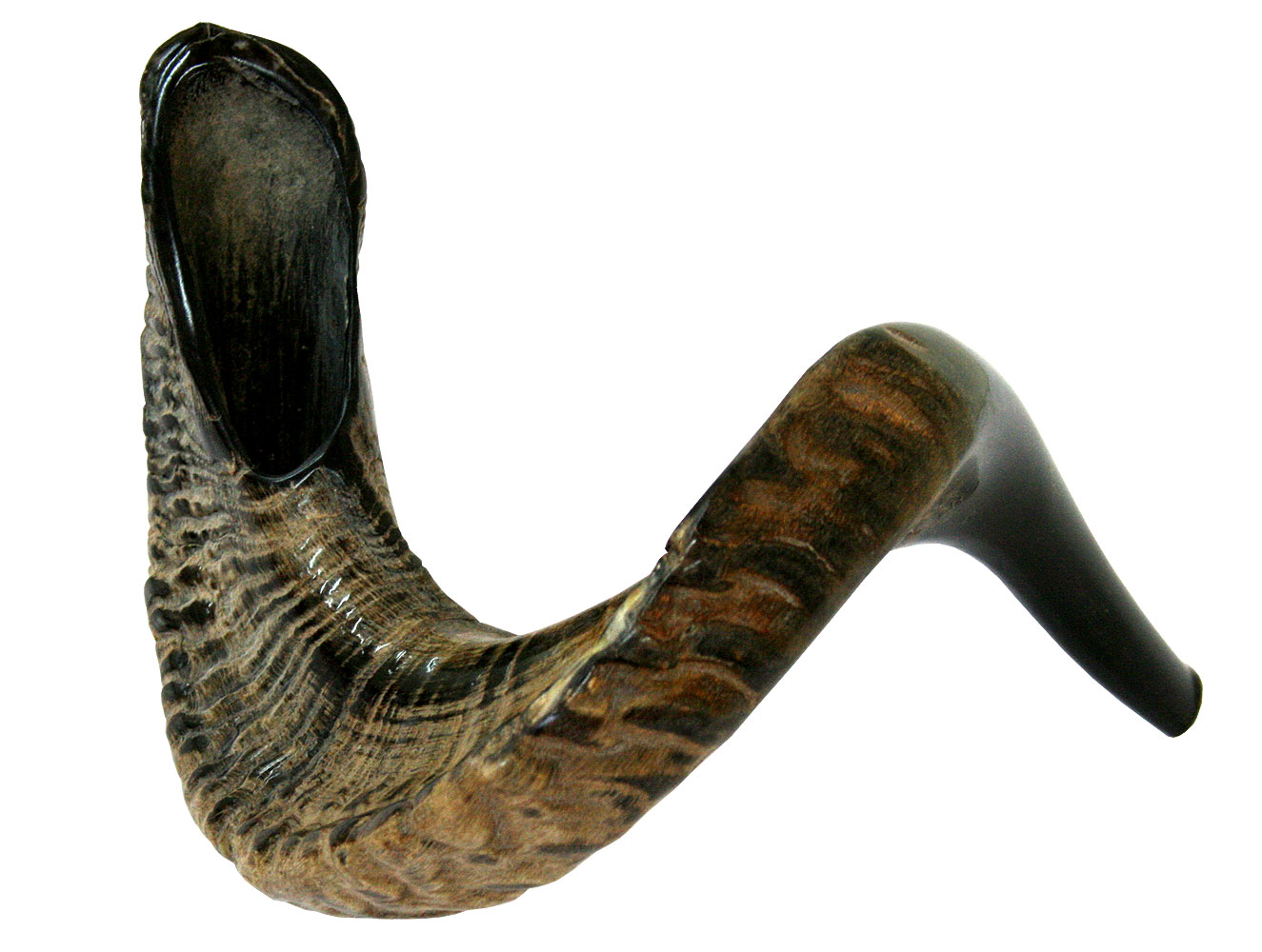 mah - Quoi: Qu'est ce que le Shofar?