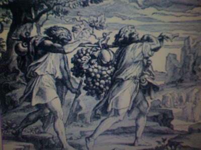 LES SYMBOLES: LA GRAPPE DE RAISIN DES EXPLORATEURS