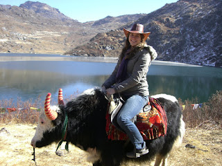 Waves Of Bliss: Yak Riding!
