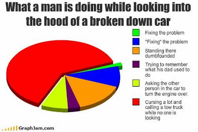 Crazy, Lazy, Silly and Strange: Pie Charts...