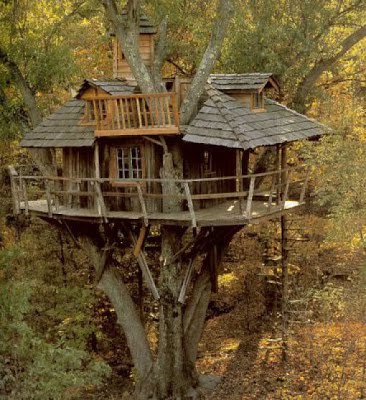 Crazy, Lazy, Silly and Strange: TOTALLY. BADASS.TREEHOUSES.