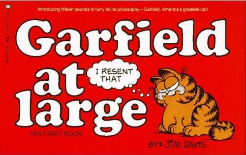 THE SUPER SEVENTIES: Super 70s - Garfield the Cat