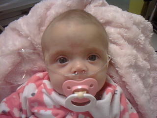 evie jayne: a beautiful head...