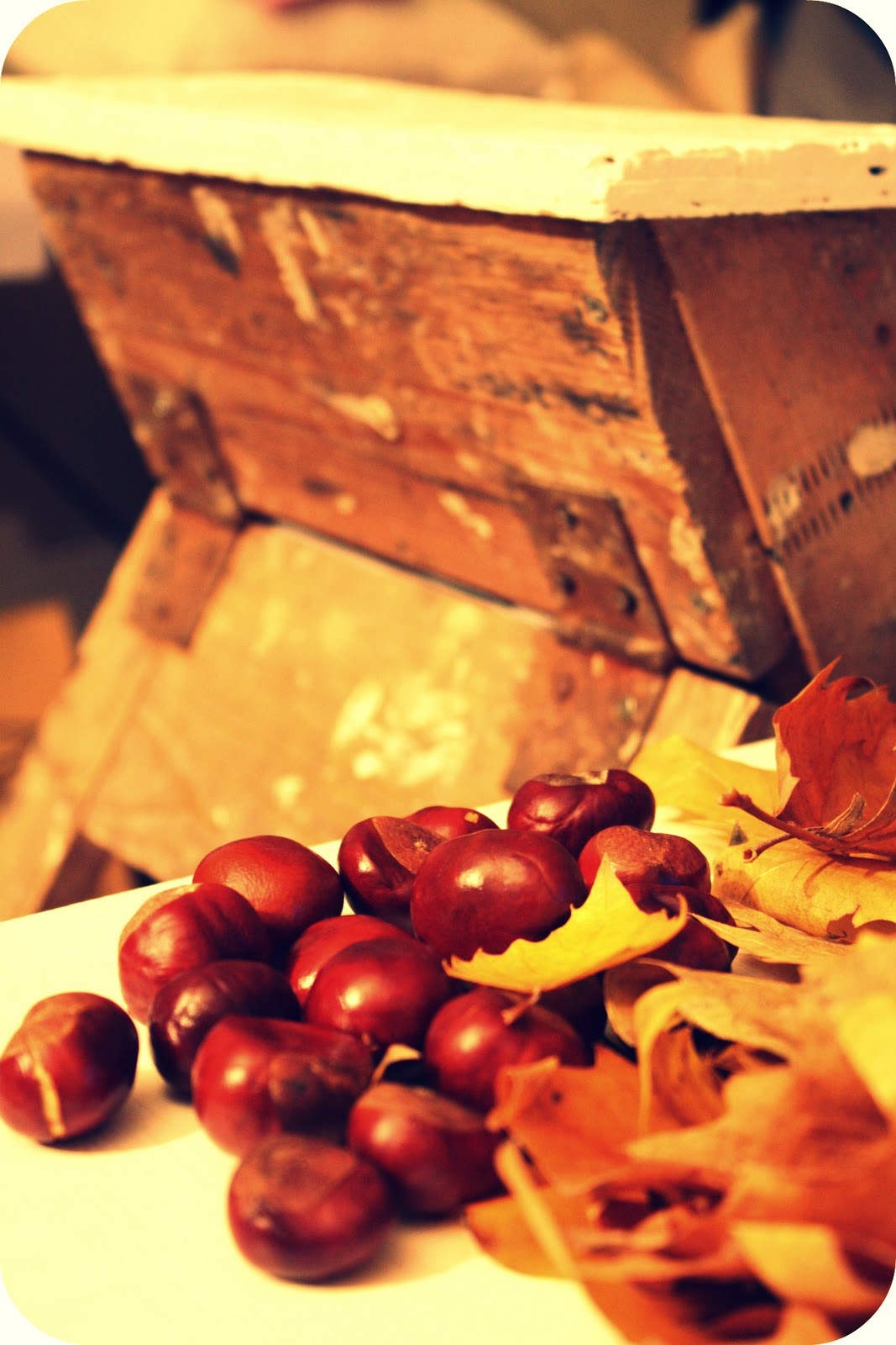 Miss Sew & So: a friday flower of fallen leaves & conkers...