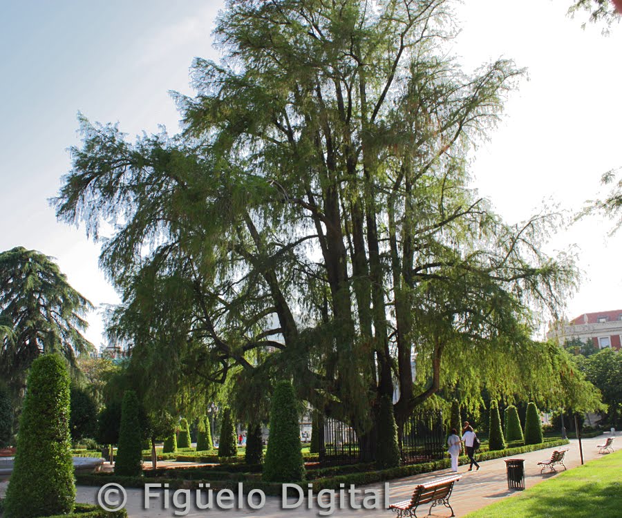 Bitácora del webmaster de Mexicanos en España: noviembre 2010