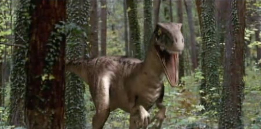 Direct to Video Connoisseur Images: Raptor Island (2004)