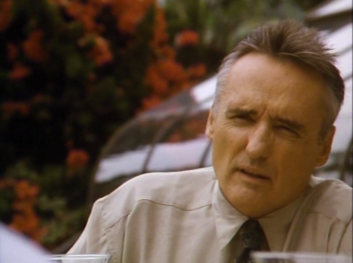 Direct to Video Connoisseur Images: Sunset Heat (1992)