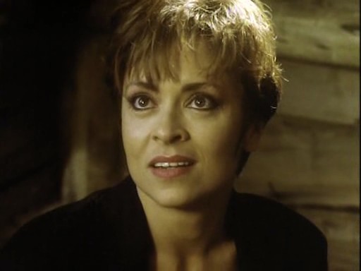 Direct to Video Connoisseur Images: Terminator Woman (1993)