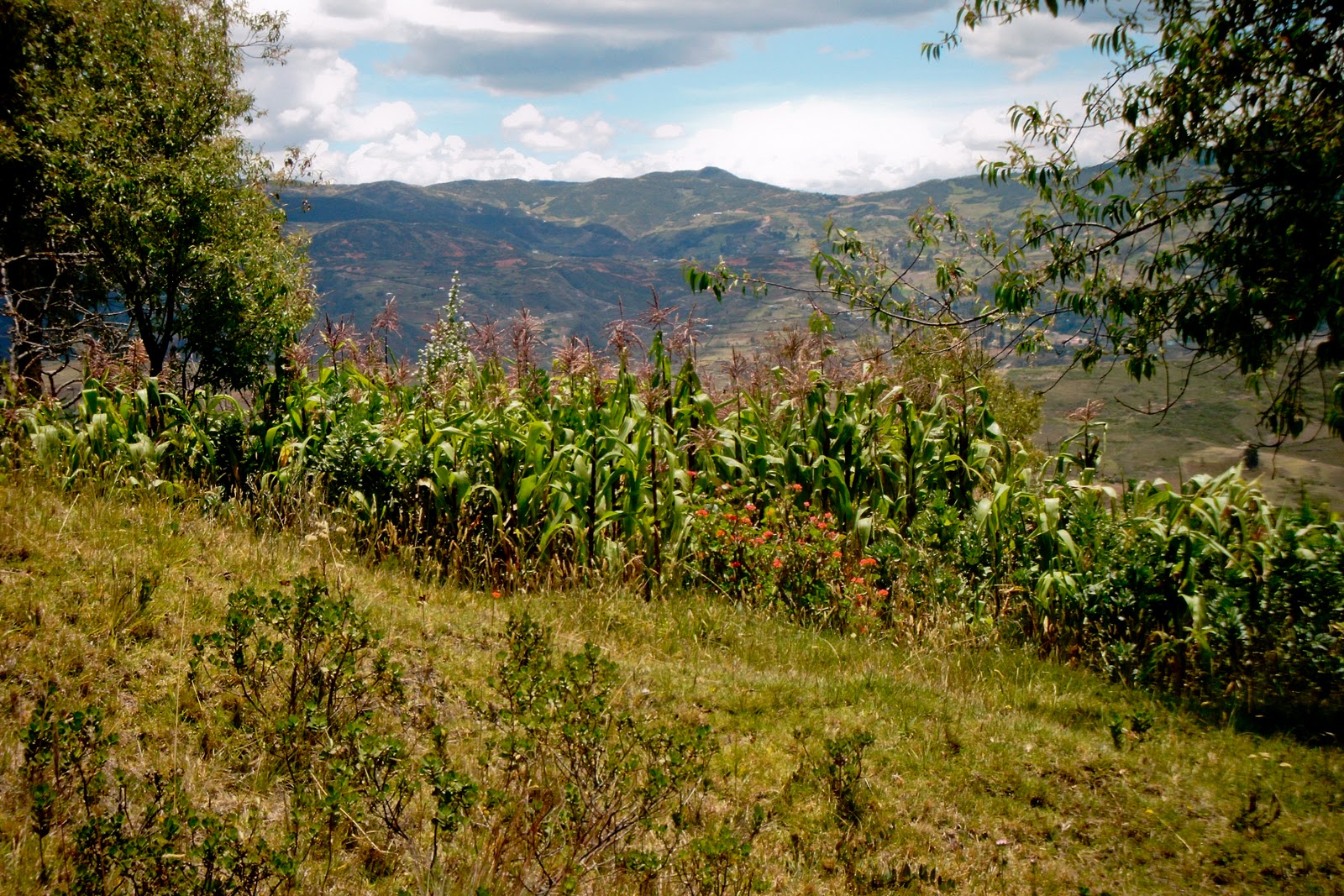 Sharla and Marsha's Travels: SigSig, Ecuador