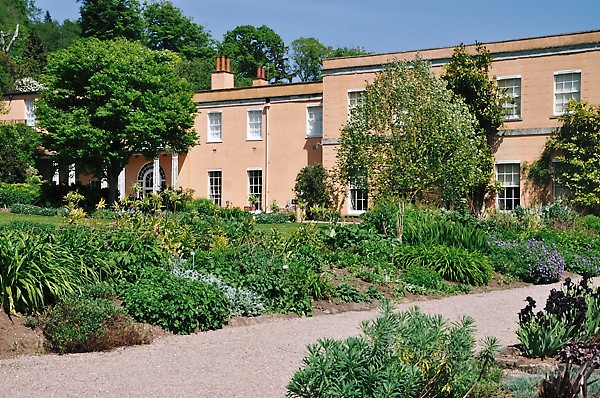 Cats, Dogs and Eiderdowns: Killerton House, near Exeter