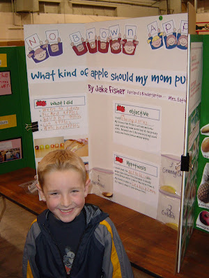 Fish Food: Science Fair Project