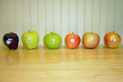 Fish Food: Science Fair Project