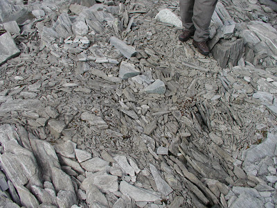 Arctic, Antarctic and Alpine: Future research into frost weathering