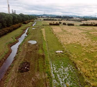 Chester Birder: Gowy Meadows