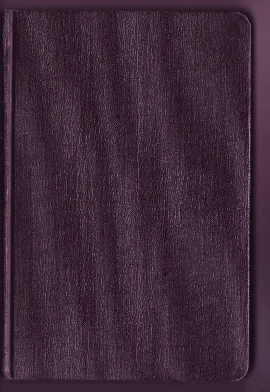 Bailey Nurss and Cousins: 1941 Diary - Part 2